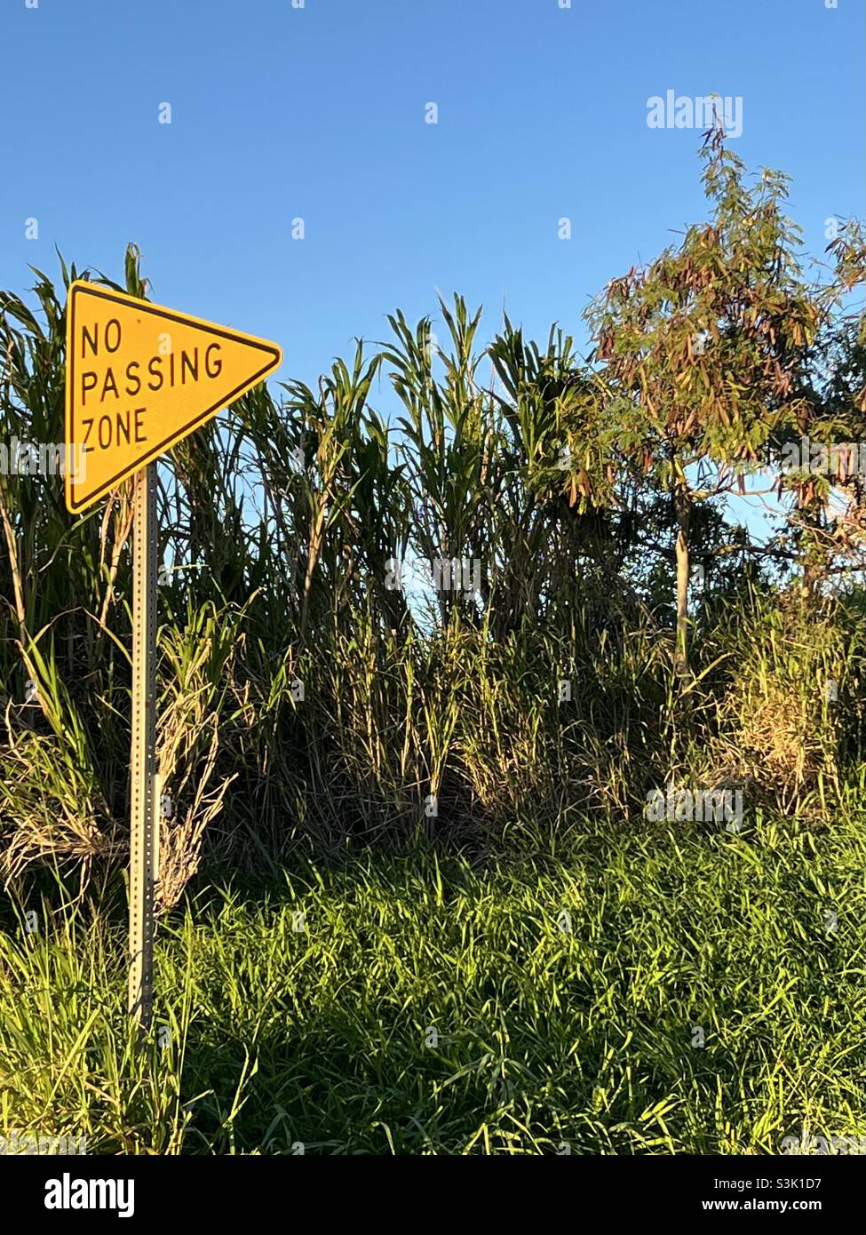 No passing zone sign hi-res stock photography and images - Alamy