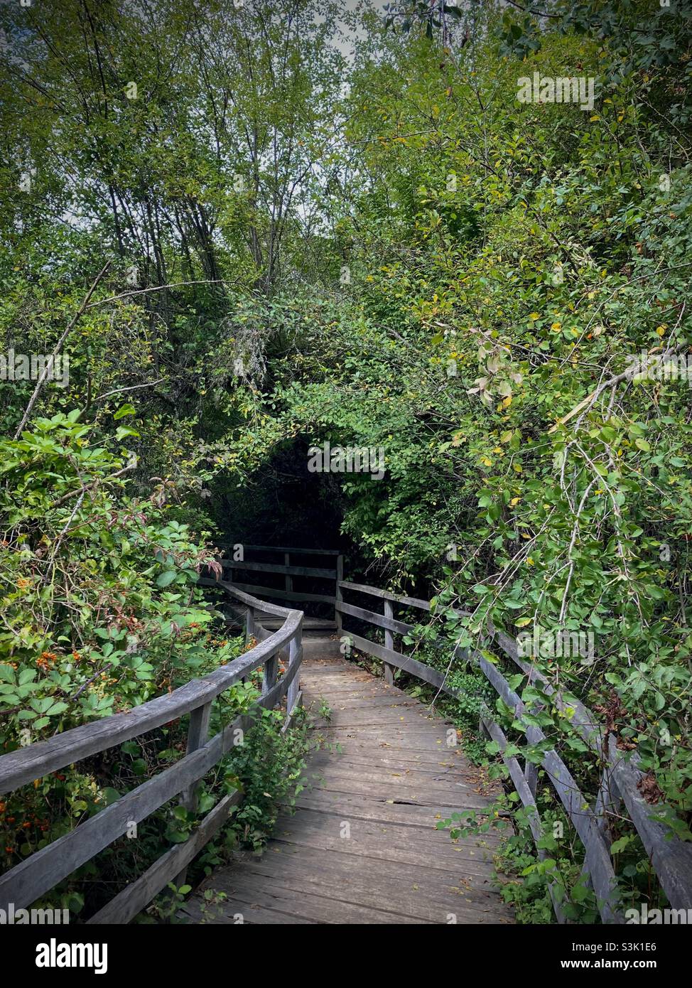 Fall in turkey Stock Photo - Alamy