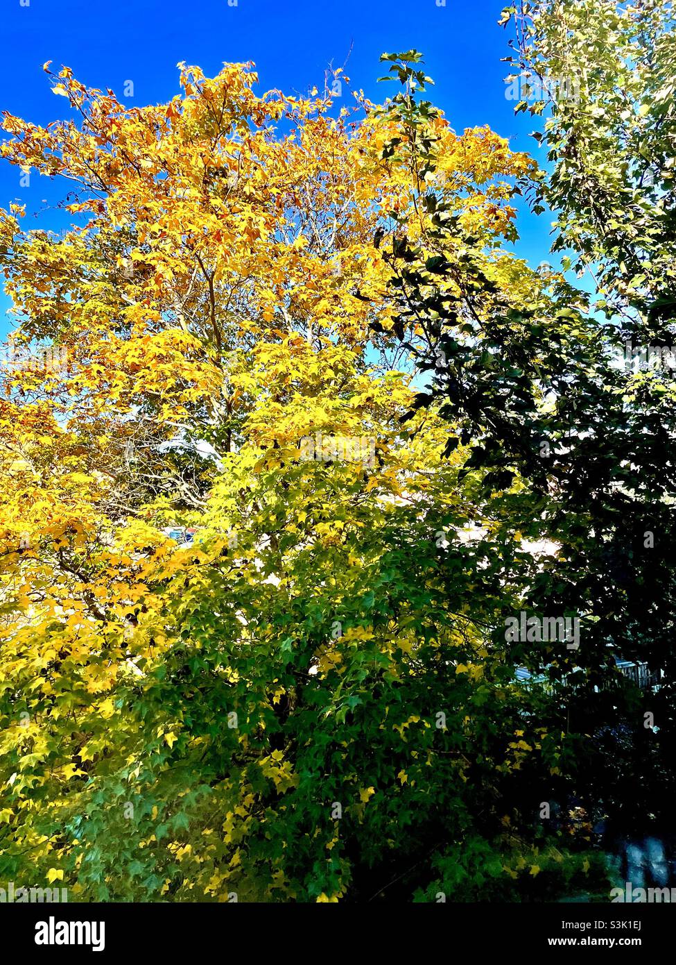 Change of the seasons hi-res stock photography and images - Alamy