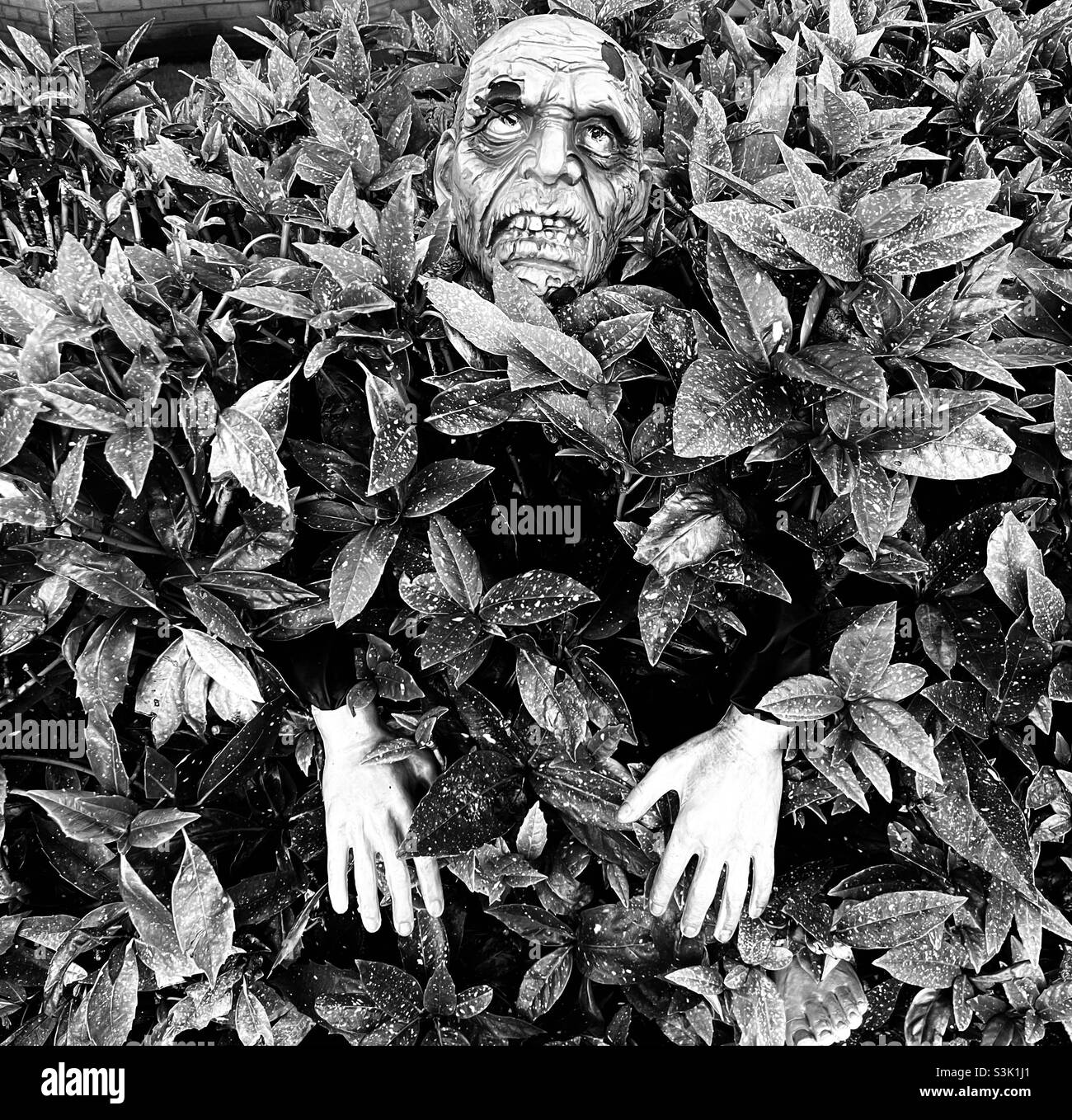 Scary man hi-res stock photography and images - Alamy