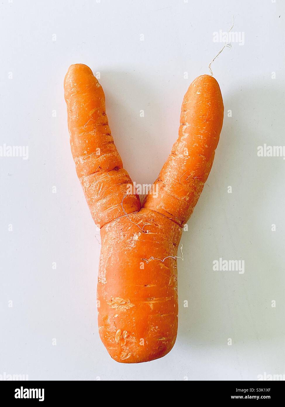 Two fingers carrot hi-res stock photography and images - Alamy
