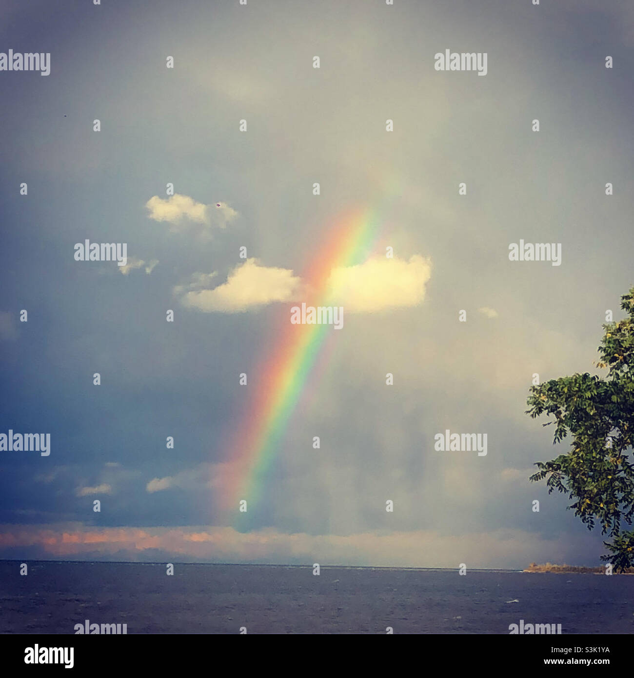 Vertical rainbow rises from the water Stock Photo - Alamy