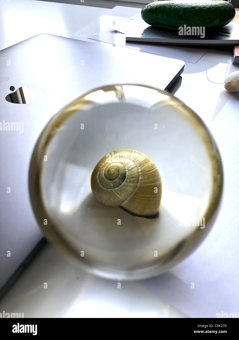 Glass distortion hi-res stock photography and images - Alamy