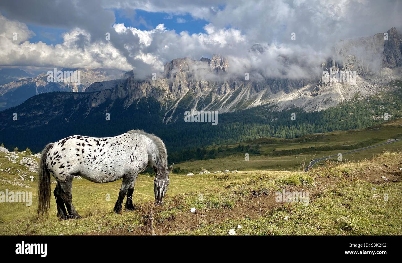 Dolomites, Cortina, Italy Stock Photo - Alamy
