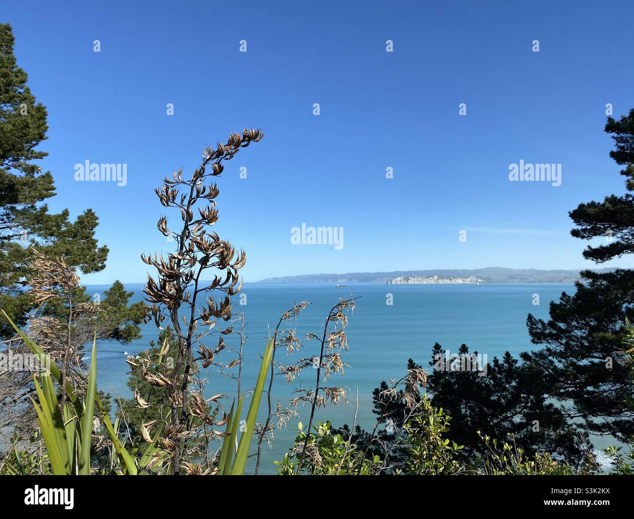 Gisborne new zealand hi-res stock photography and images - Alamy