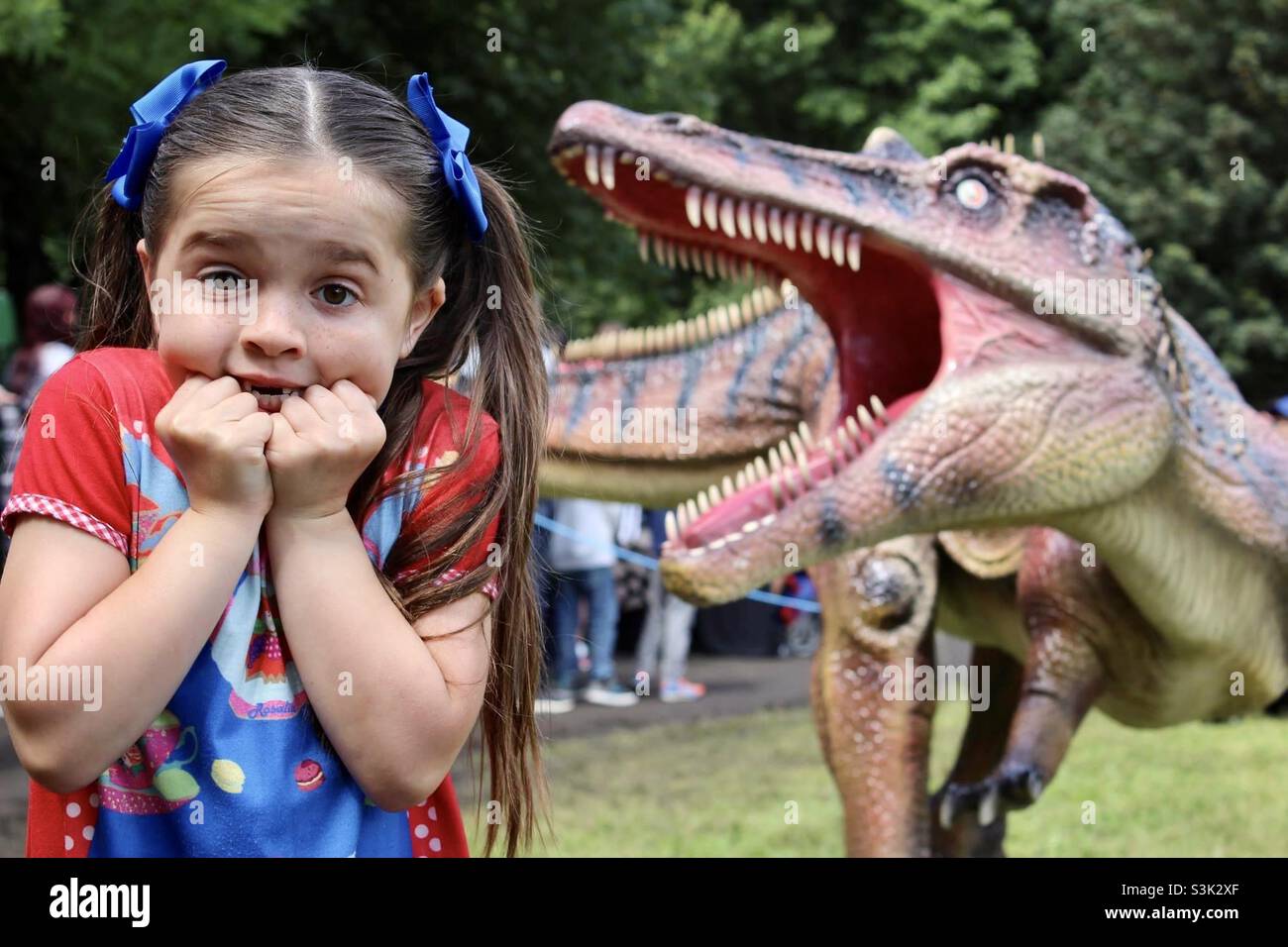 Girl scared cat hi-res stock photography and images - Alamy