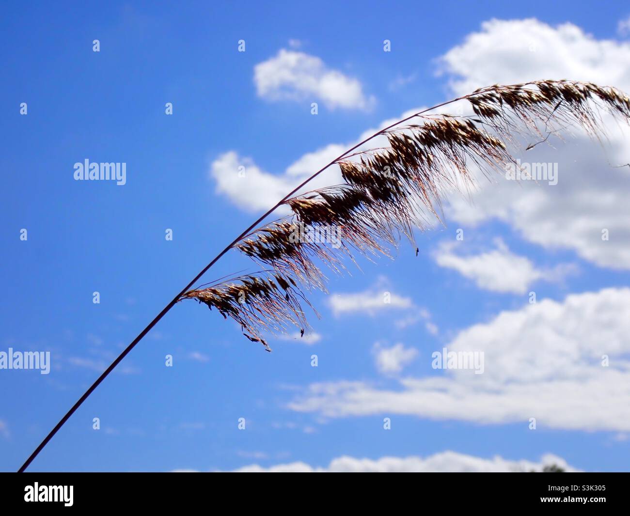 Fall in south florida hi-res stock photography and images - Alamy