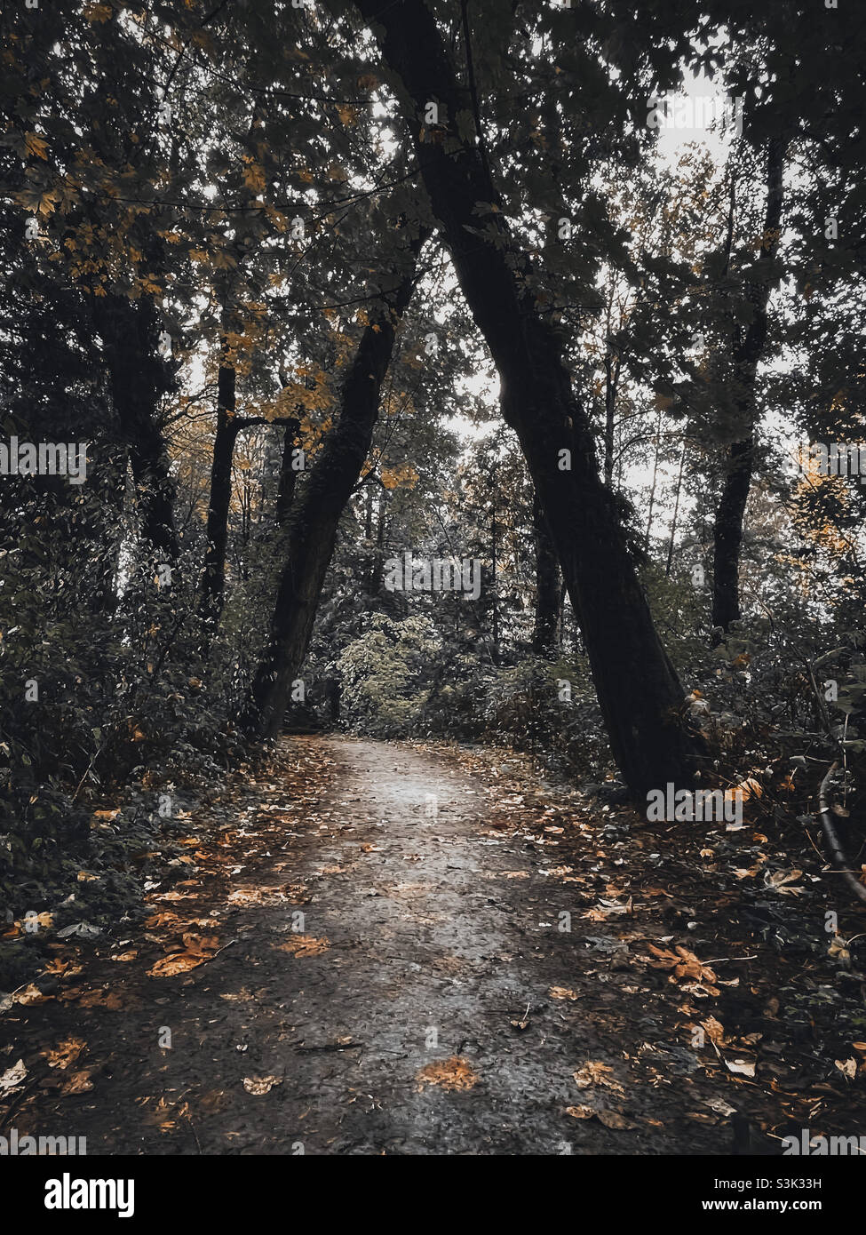 Multi colored trail hi-res stock photography and images - Alamy