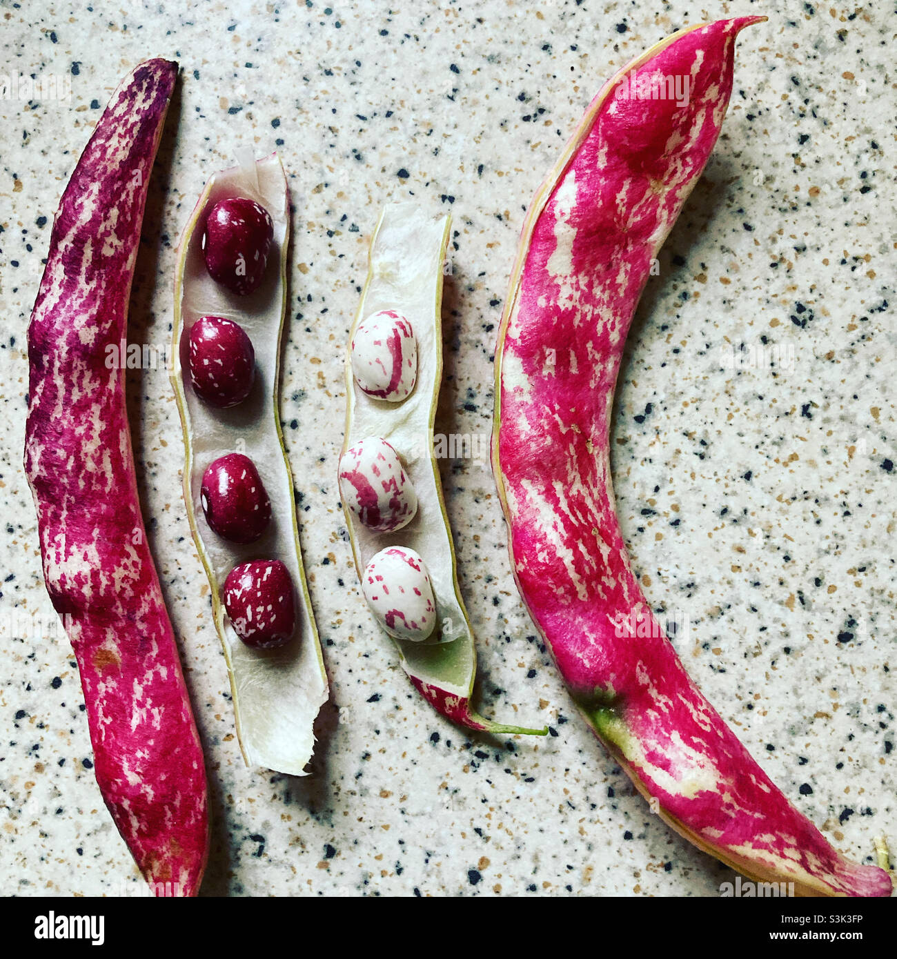 Berlotti beans hi-res stock photography and images - Alamy