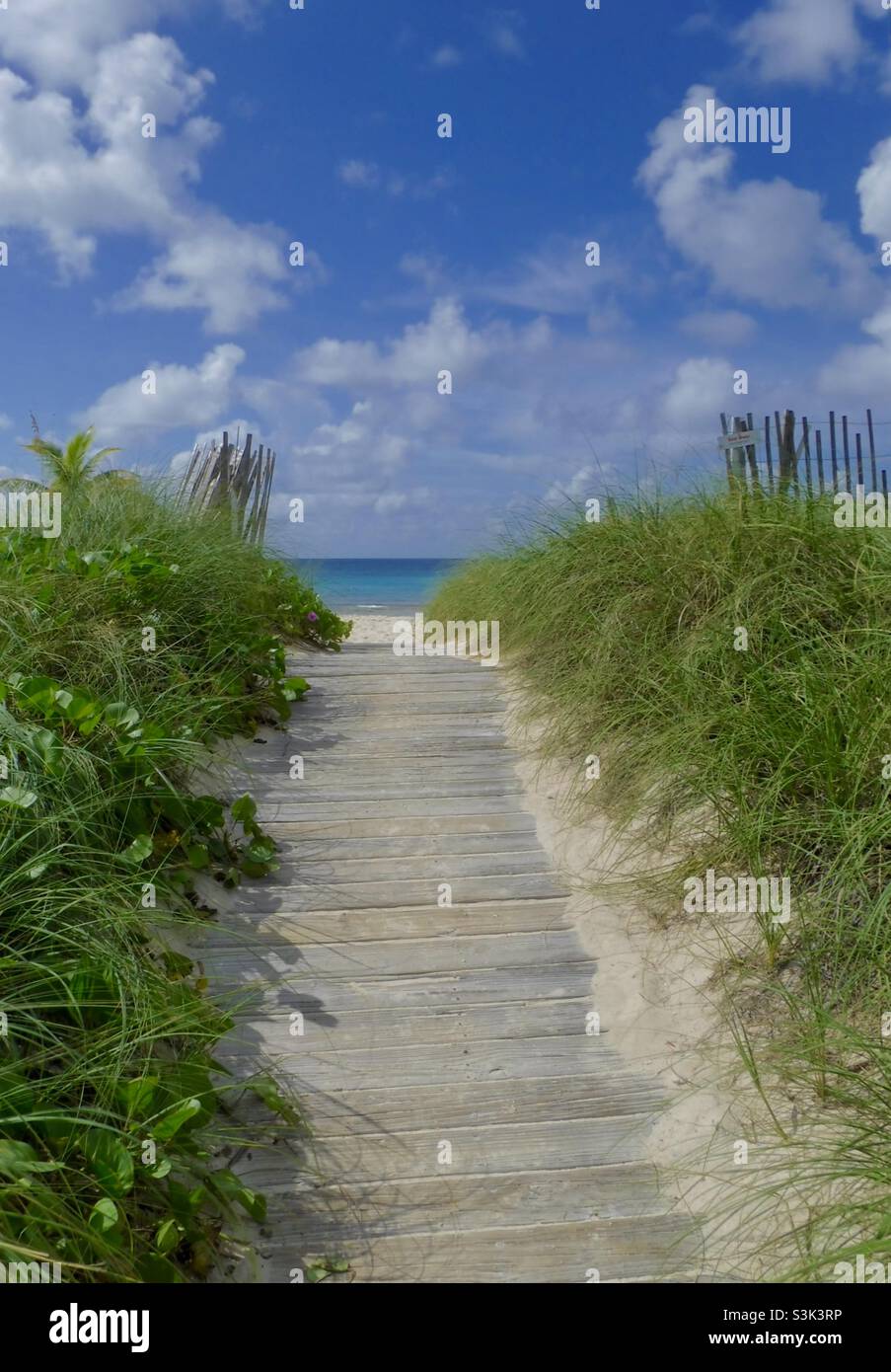 Pathway to paradise hi-res stock photography and images - Alamy