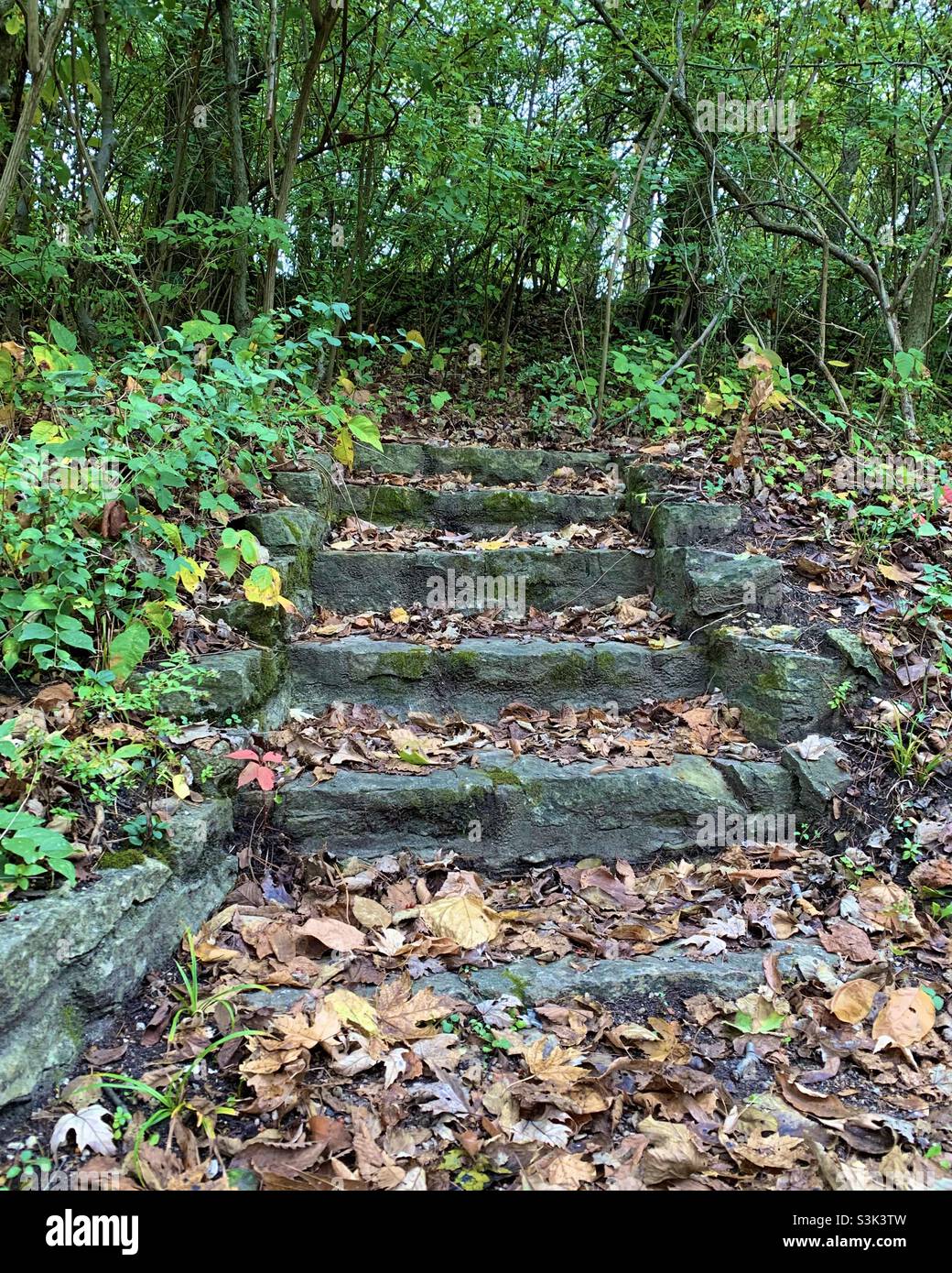 Forgotten stairs hi-res stock photography and images - Alamy
