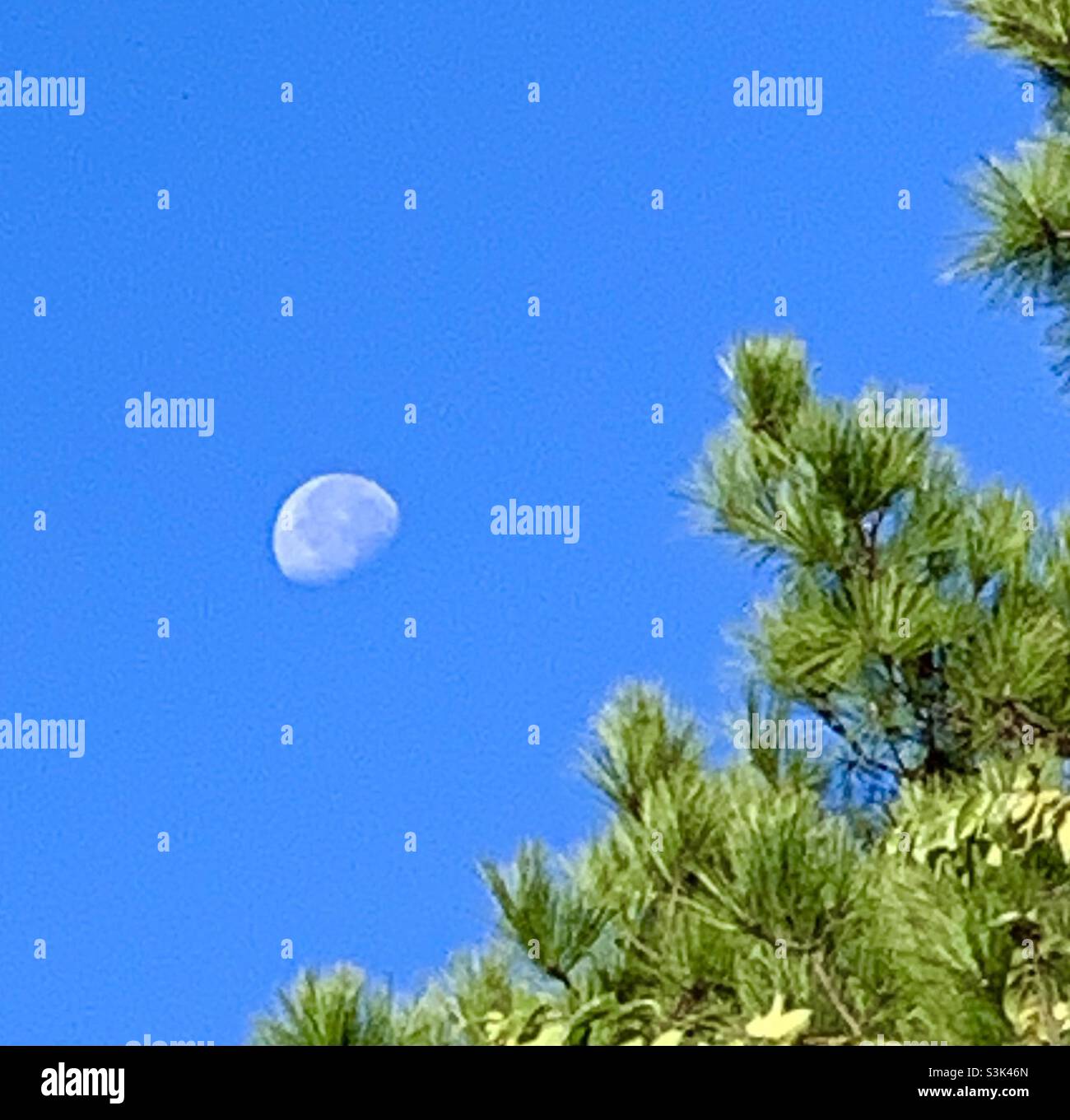 Amazing good morning hi-res stock photography and images - Alamy