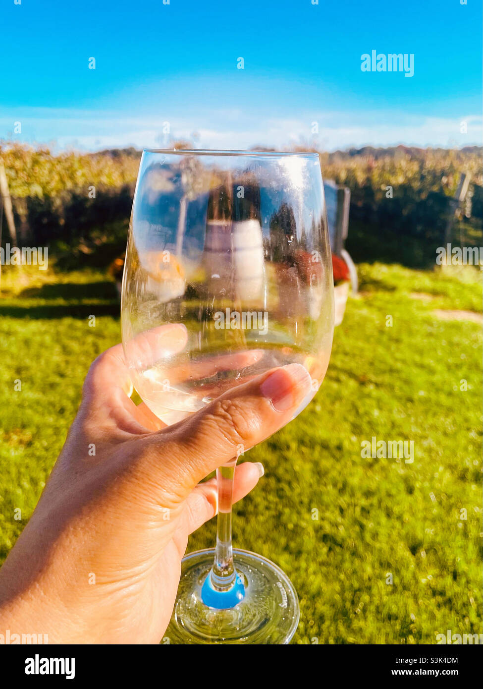 Hand through wine hi-res stock photography and images - Alamy