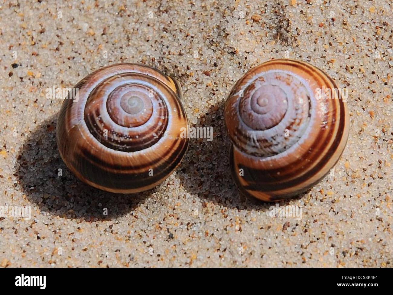 Sand symmetry hi-res stock photography and images - Alamy