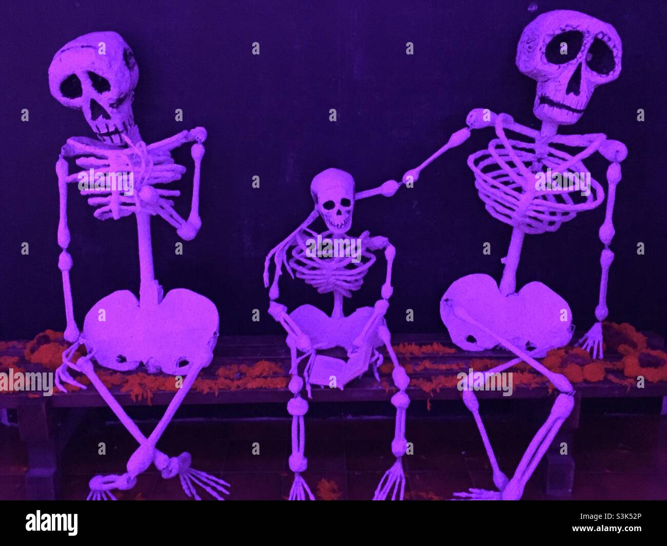 Skeleton display for Dia de los Muertos (Daynof the Dead), Oaxaca ...