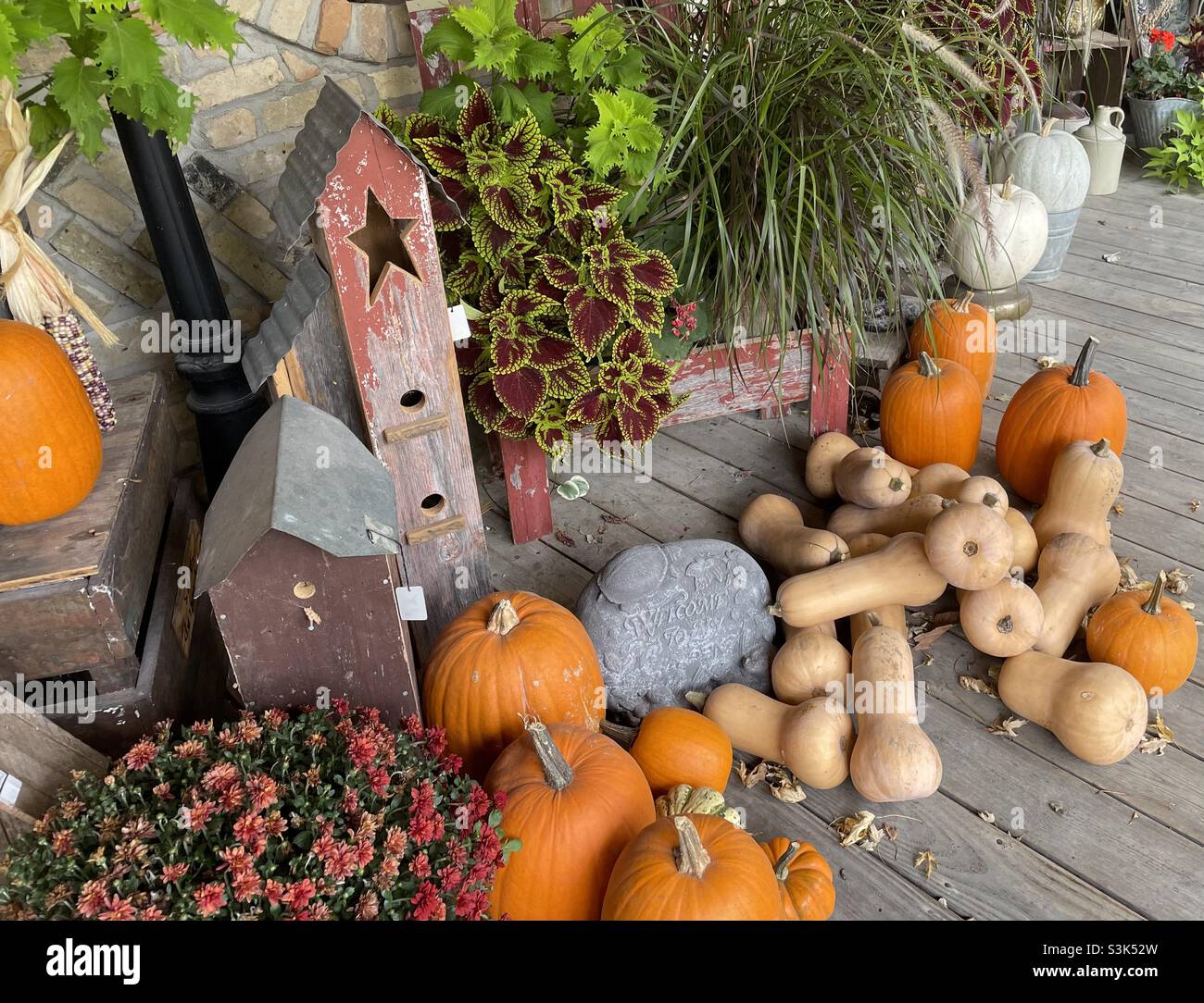 Fall gourds and mums hi-res stock photography and images - Alamy