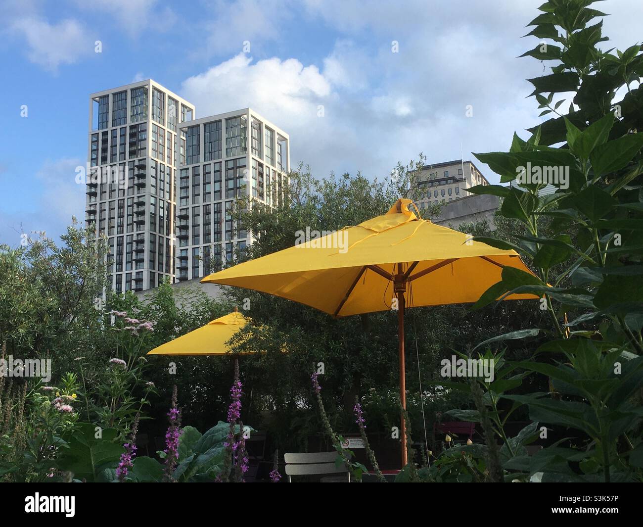Rooftop garden and terrace on the South Bank London. Showing yellow ...