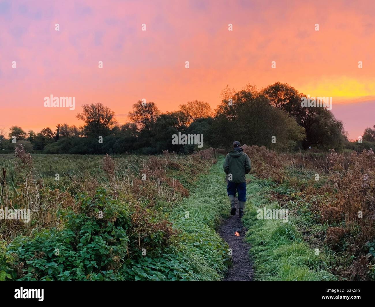 Man walking on riverside path next to River Waveney, UK during sunset ...