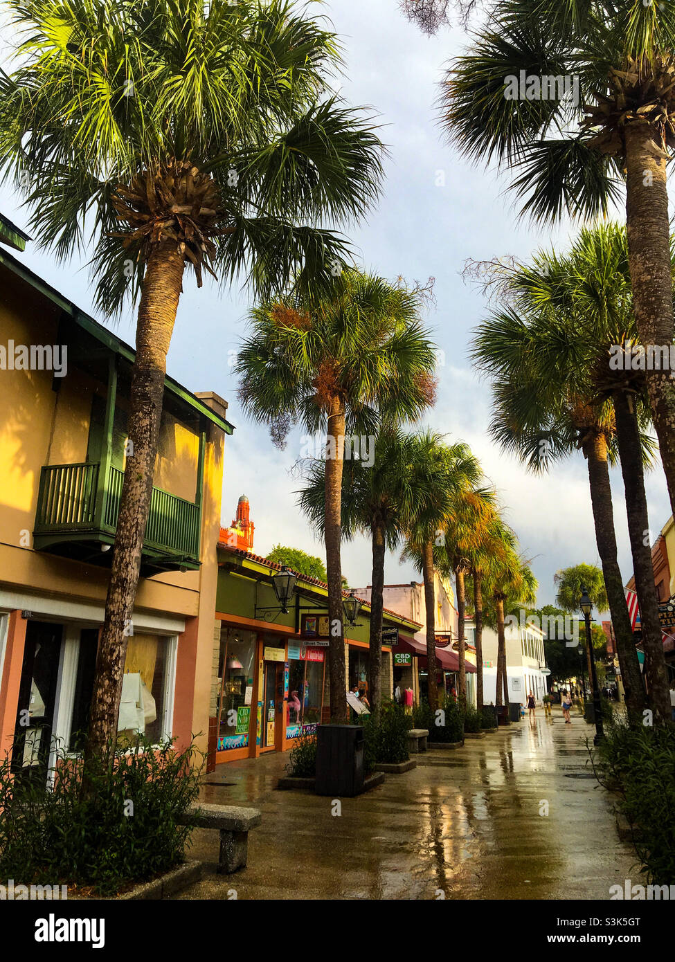 Palm trees in the streets of St. Augustine, Florida Stock Photo - Alamy