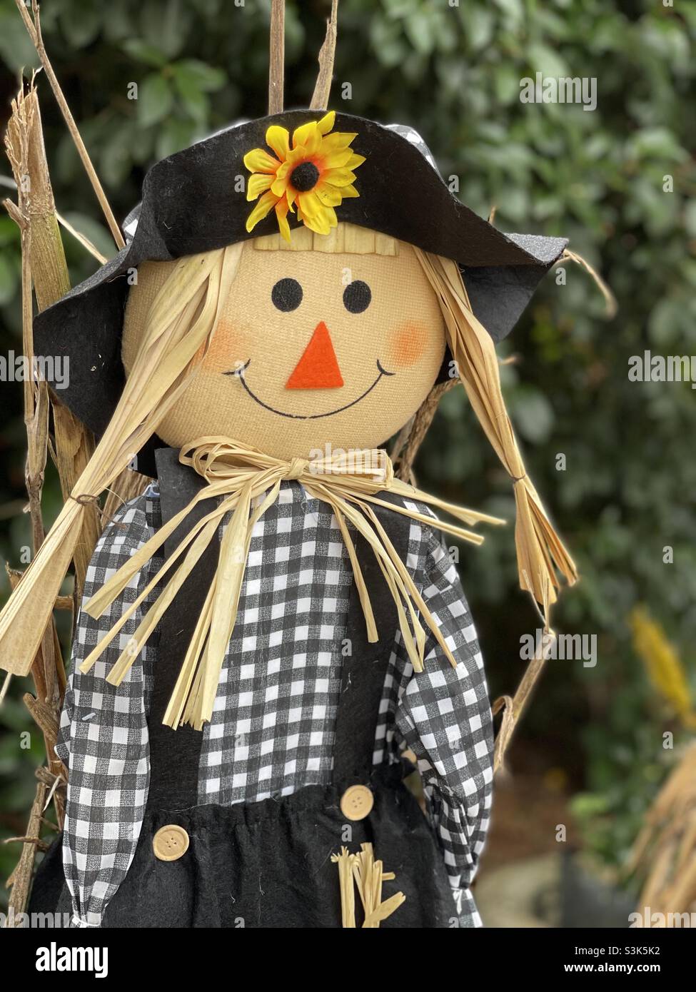 Woman Scarecrow Face