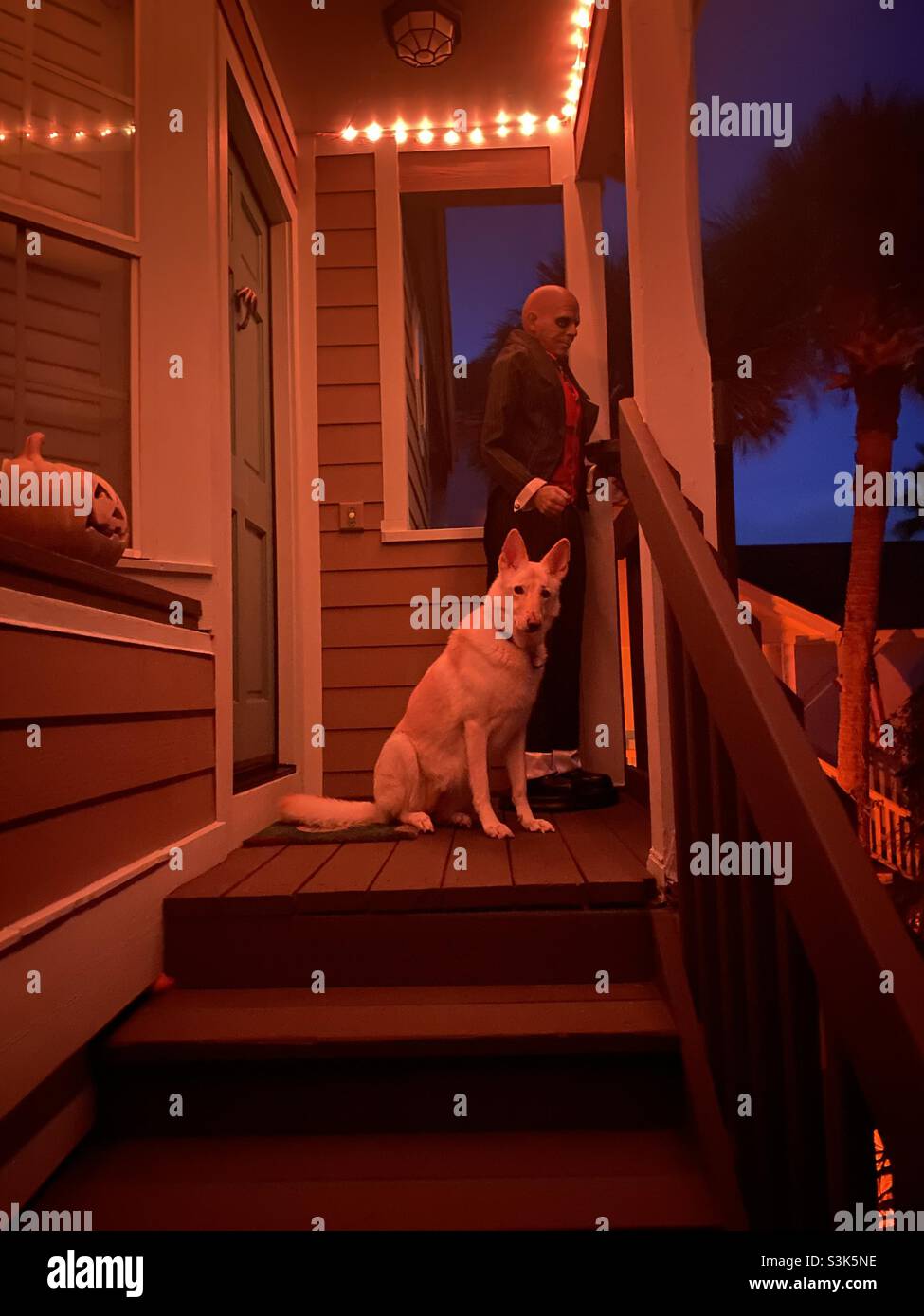 Scary butler hi-res stock photography and images - Alamy