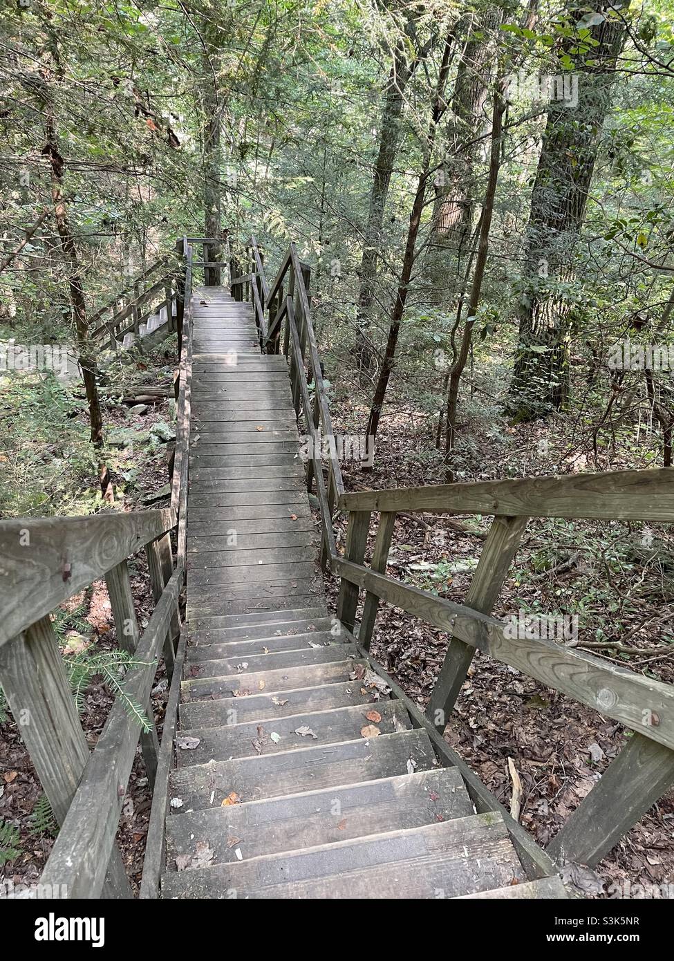 Pathway with stairs hi-res stock photography and images - Alamy