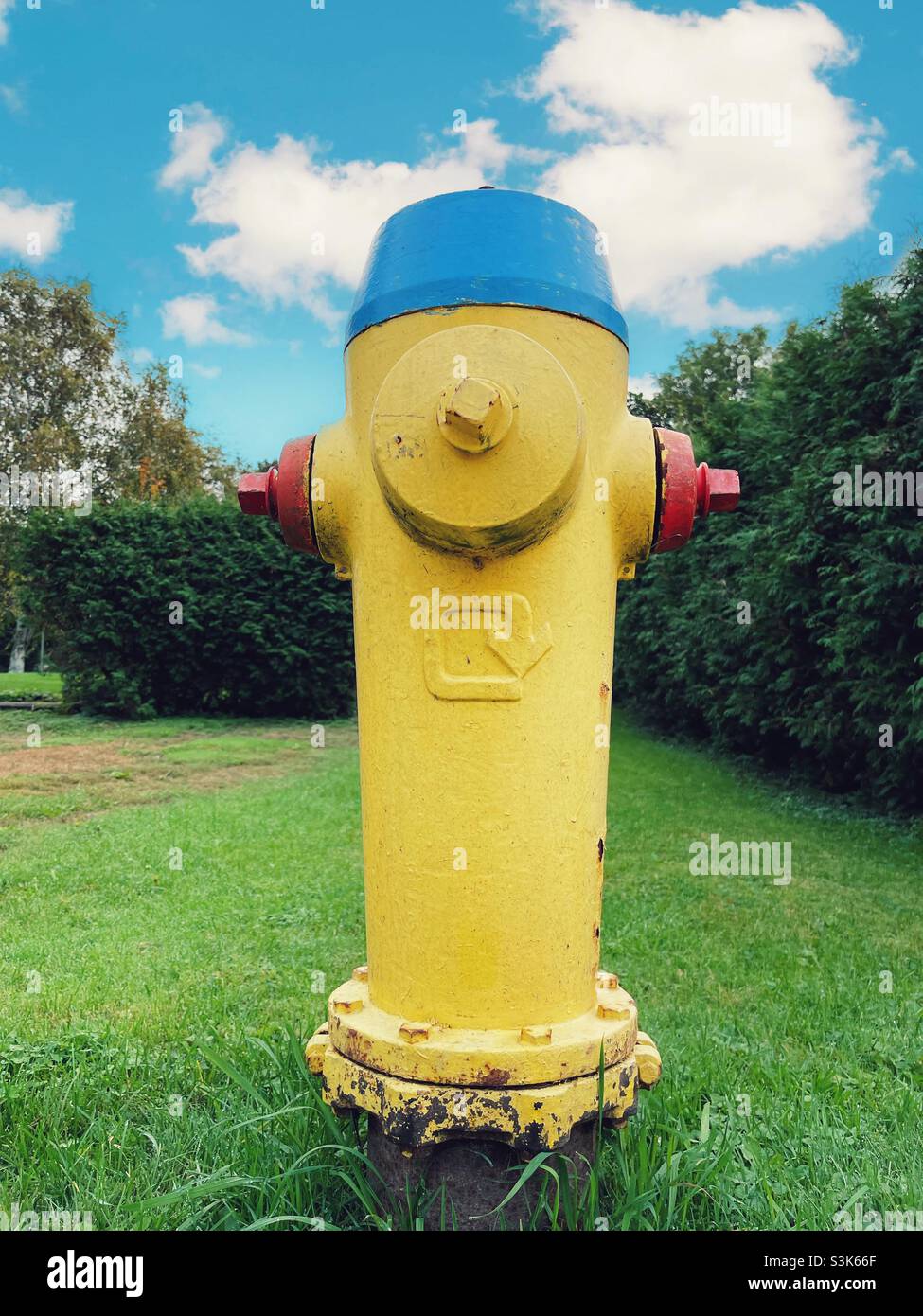 Fire hydrant painted yellow, red and blue primary colours Stock Photo ...