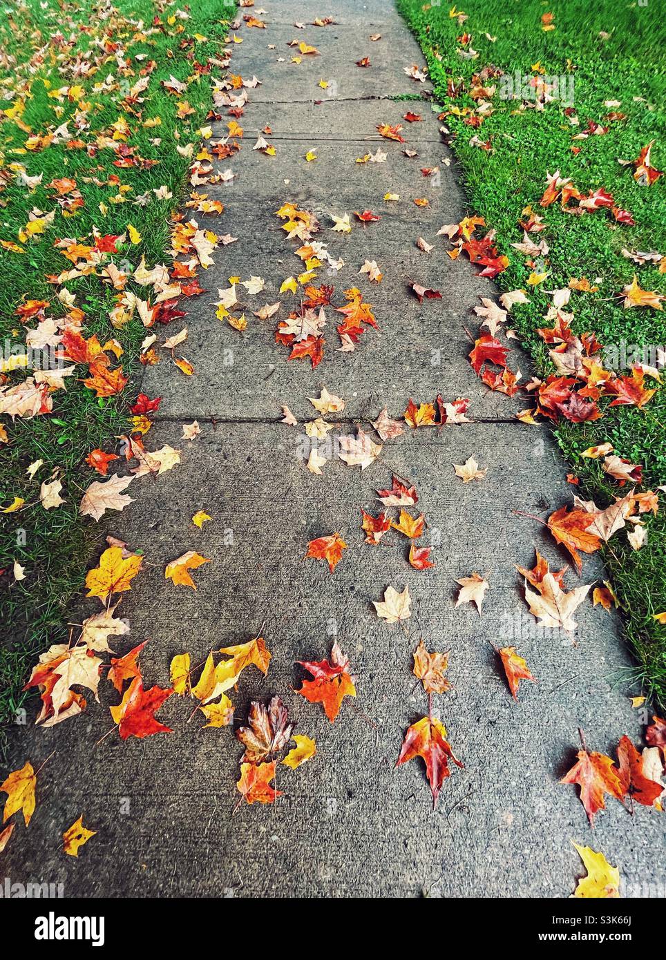 Fall autumn hi-res stock photography and images - Alamy