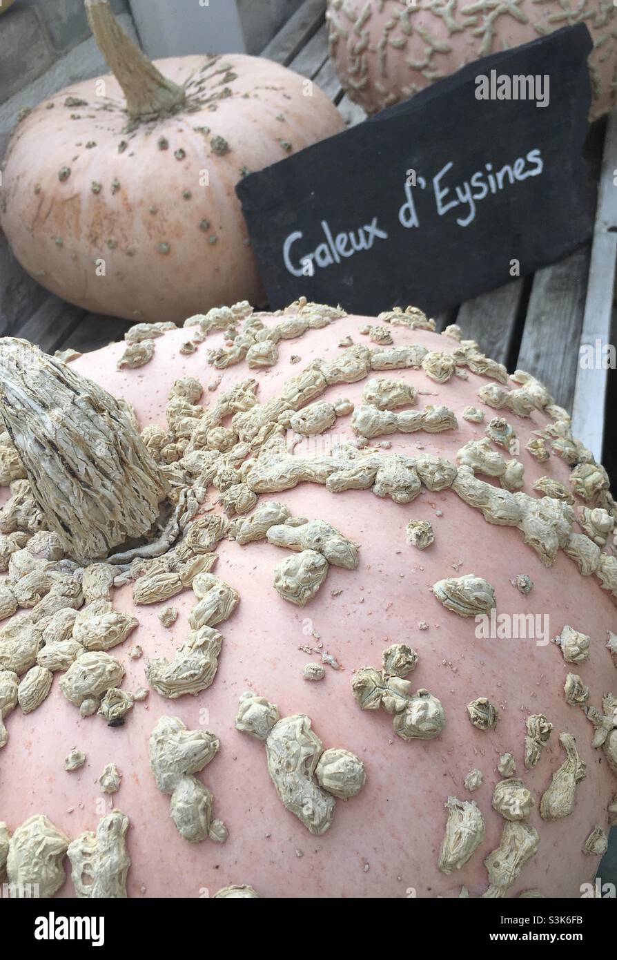 Knobbly pumpkins hi-res stock photography and images - Alamy