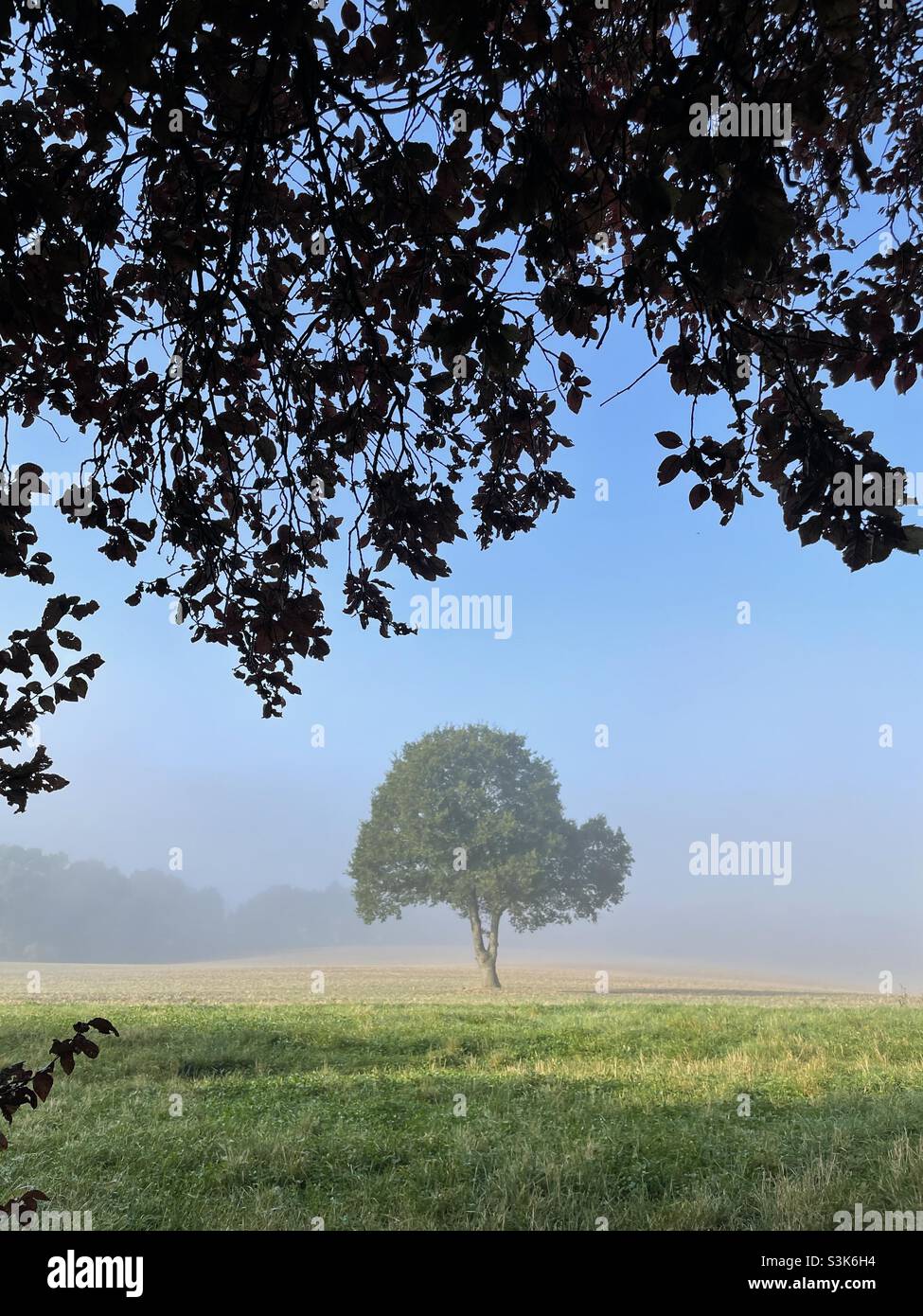 Mist day hi-res stock photography and images - Alamy