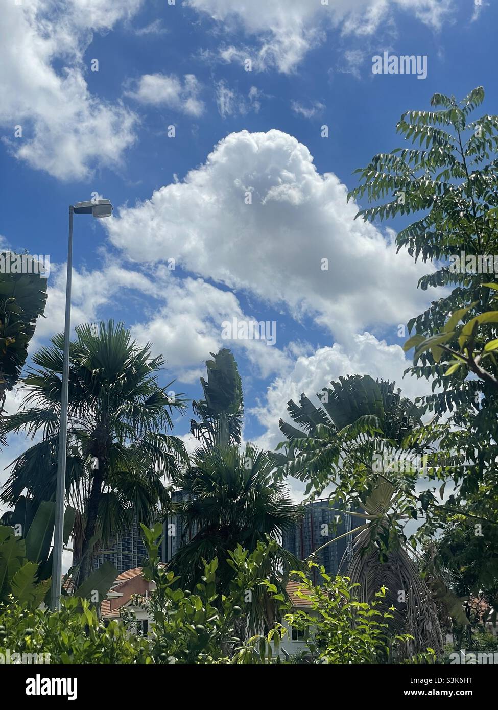 It’s a sunny day in Malaysia Stock Photo - Alamy