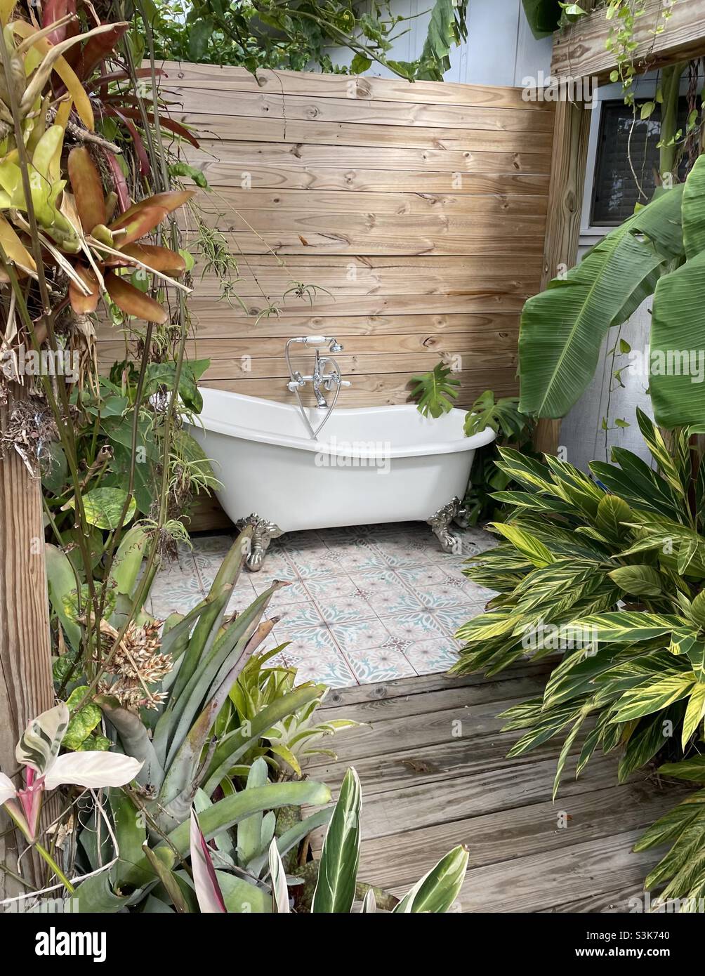 Tropical setting hi-res stock photography and images - Alamy