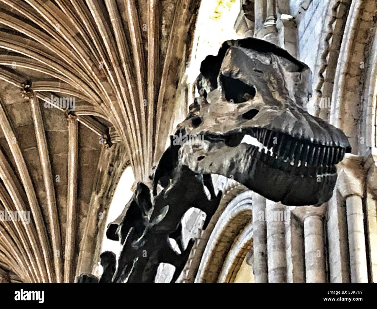 Dippy the diplodocus tour hi-res stock photography and images - Alamy