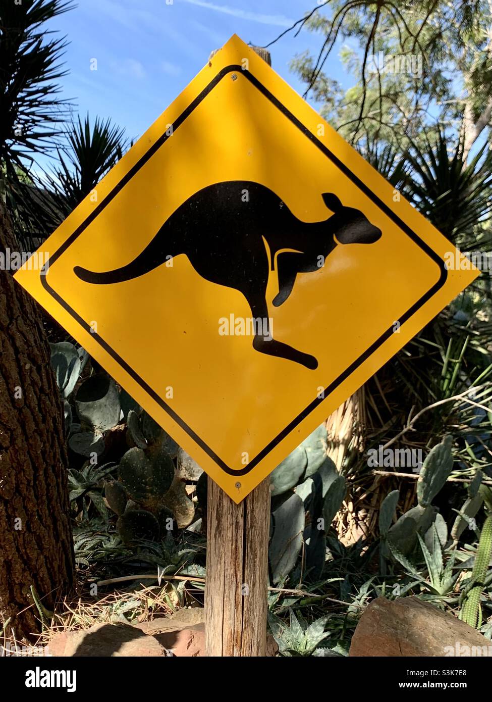 Kangaroo sign. Warning kangaroo nearby or crossing. Australian wildlife ...