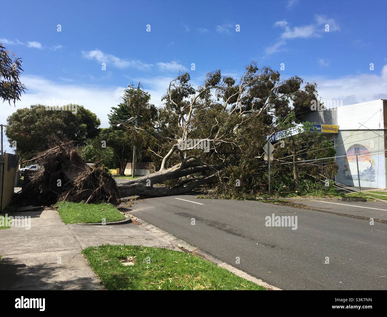 Storm damage in Frankston (Melbourne, Victoria Stock Photo - Alamy