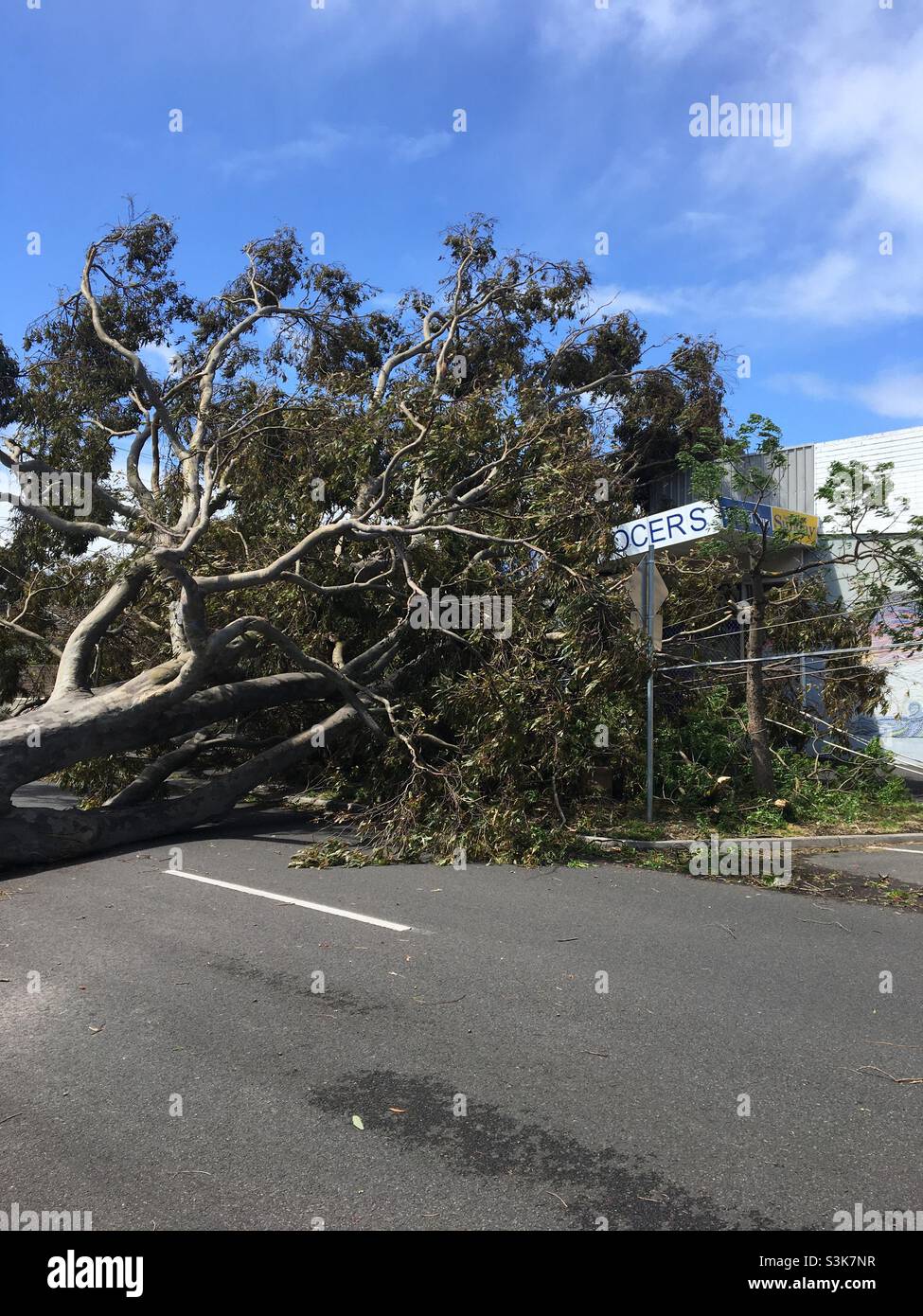 Victoria storm damage hi-res stock photography and images - Alamy
