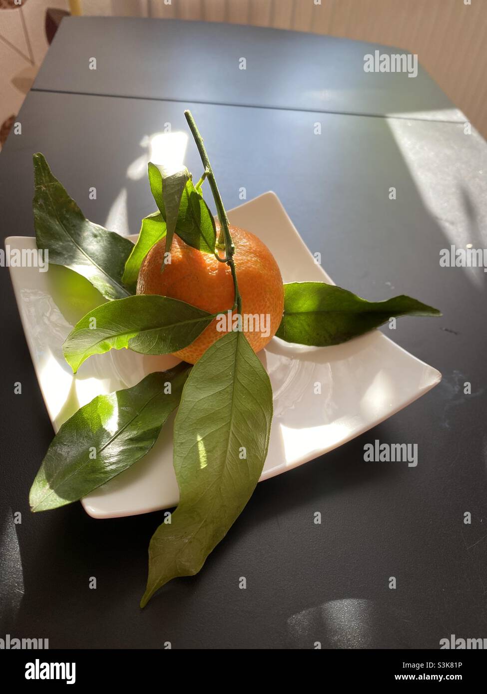 Mandarin in the rays of the sun hi-res stock photography and images - Alamy