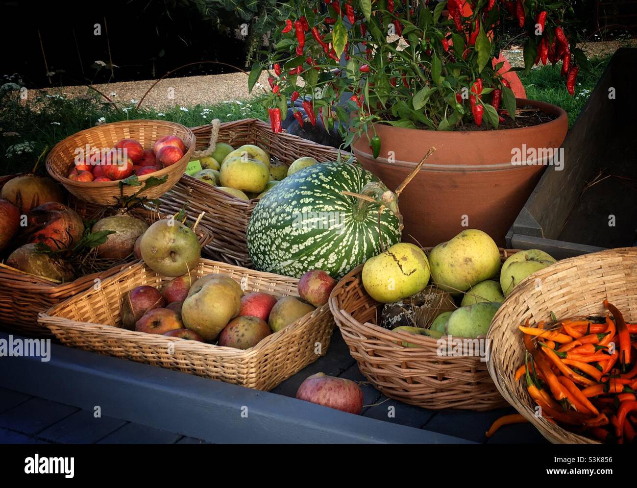 A display of autumn fruit and vegetables: pumpkins, squash, apples ...