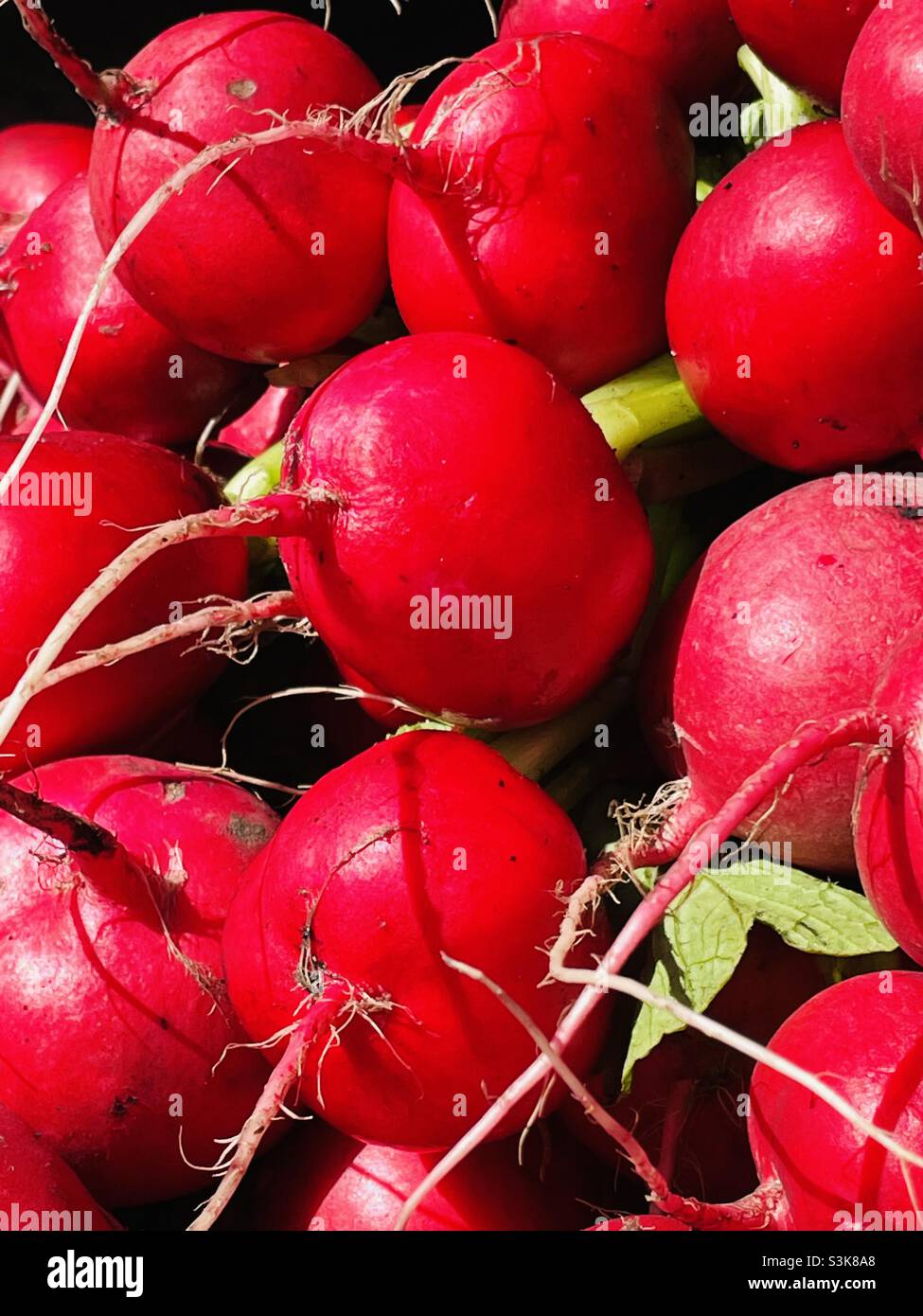 Bunch of bright red hi-res stock photography and images - Alamy