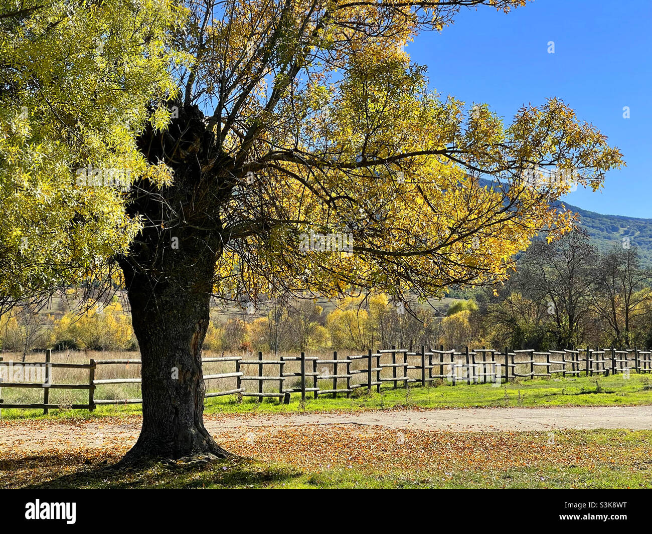 Hojas de paisajes hi-res stock photography and images - Alamy
