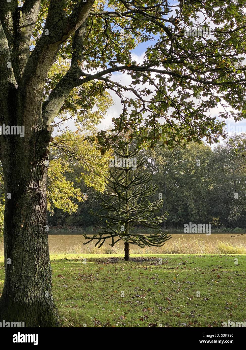 Puzzle river hi-res stock photography and images - Alamy