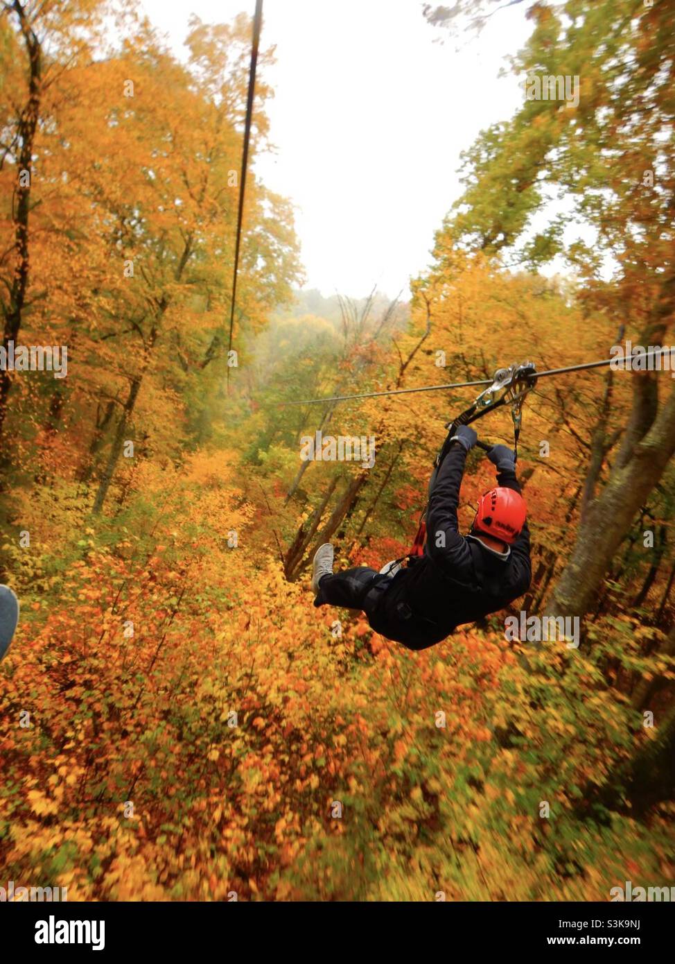 Ziplining in the mountains Stock Photo - Alamy
