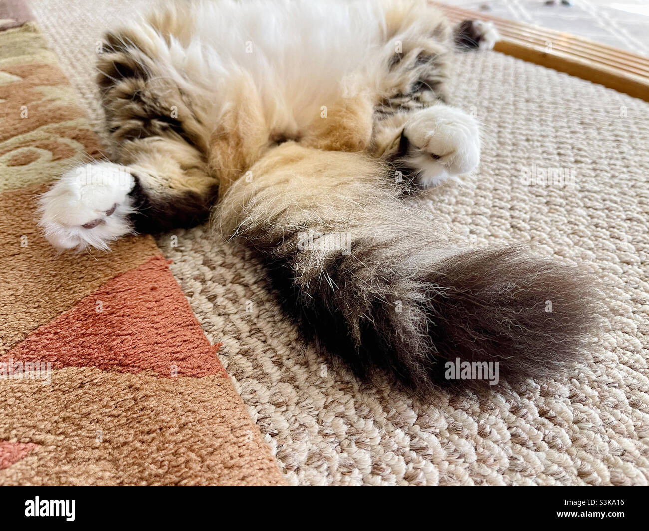 Legs spread female hi-res stock photography and images - Alamy