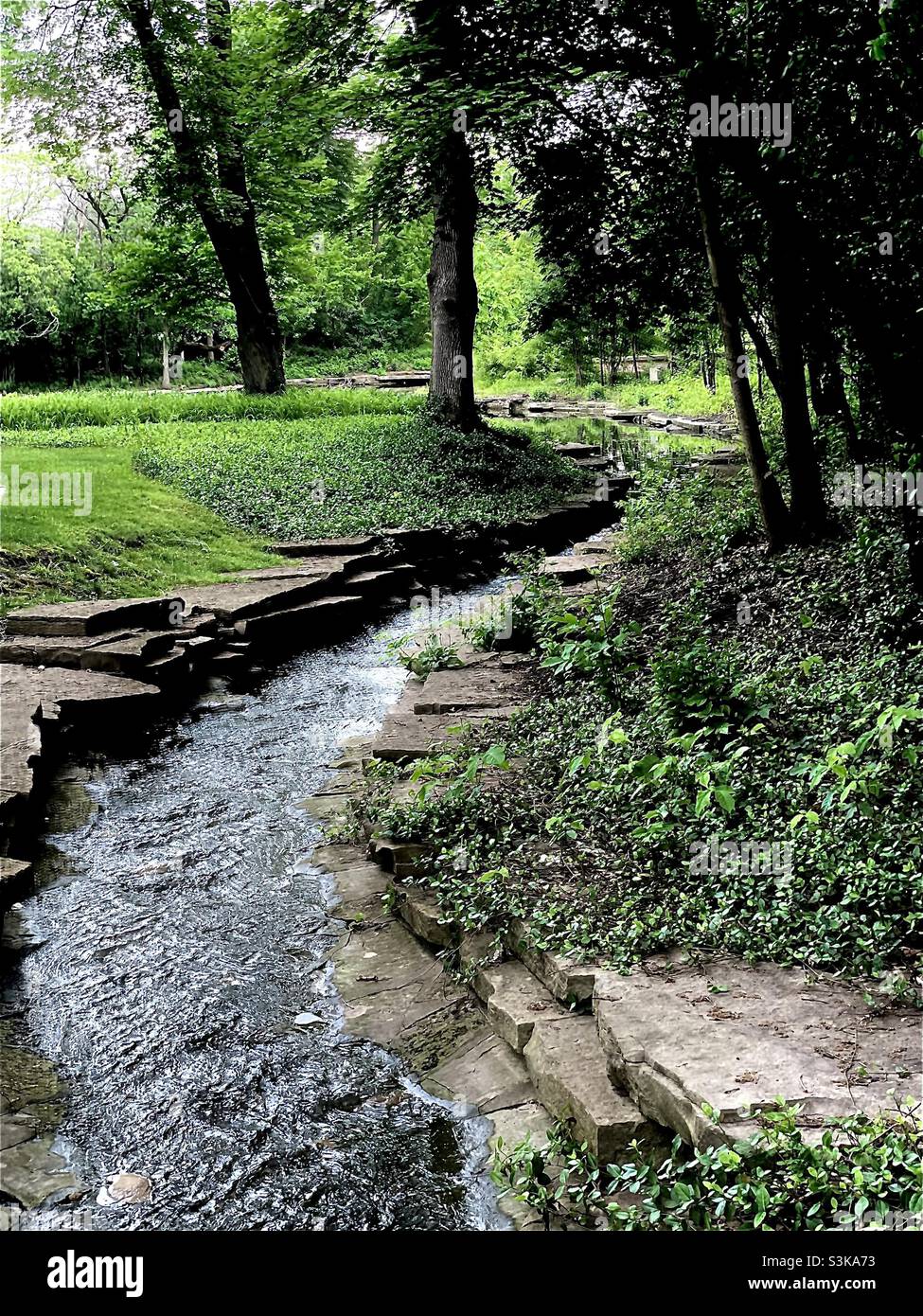 Running river with greenery hi-res stock photography and images - Alamy