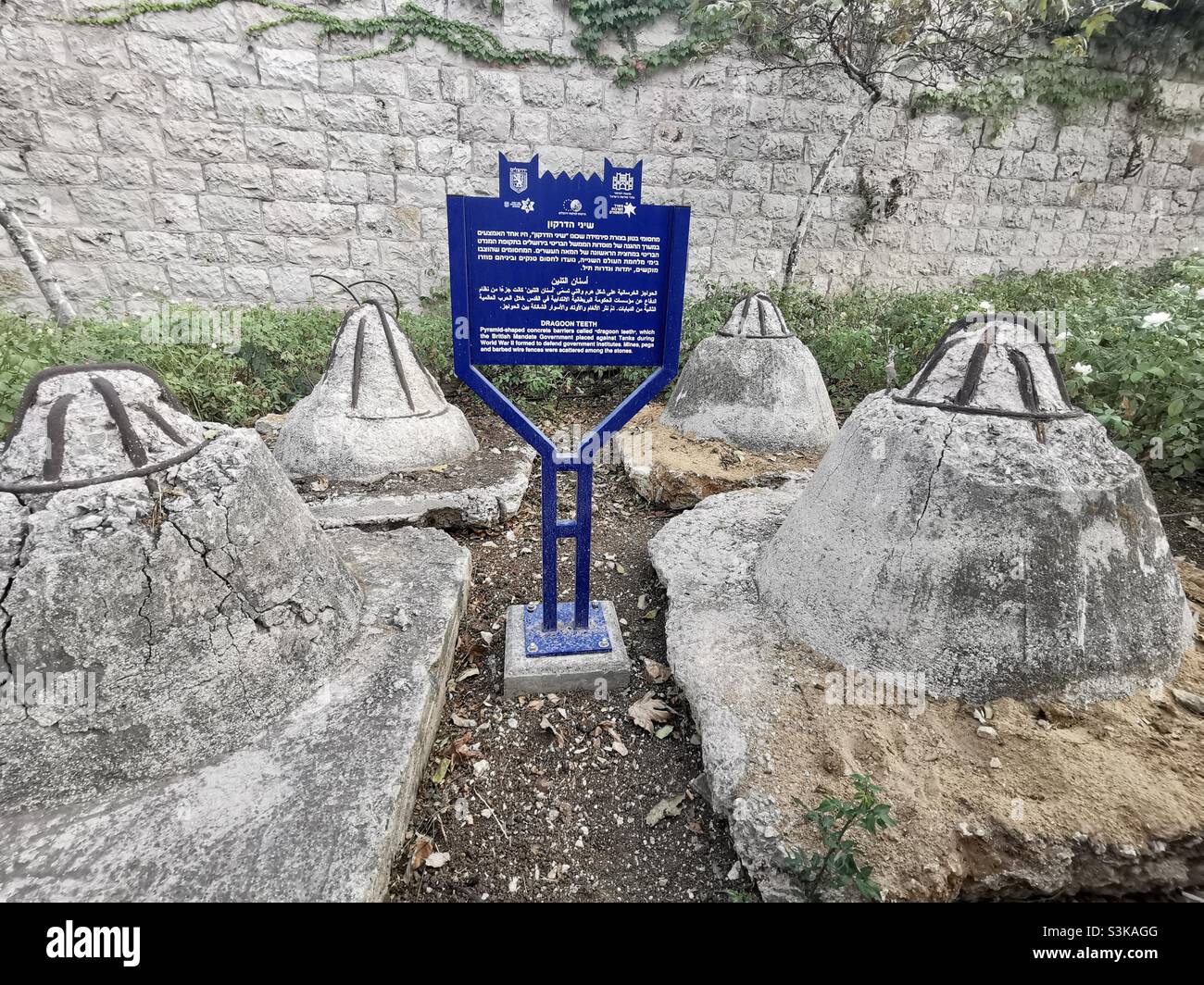 Dragon teeth - British mandate concrete barriers against tanks built ...