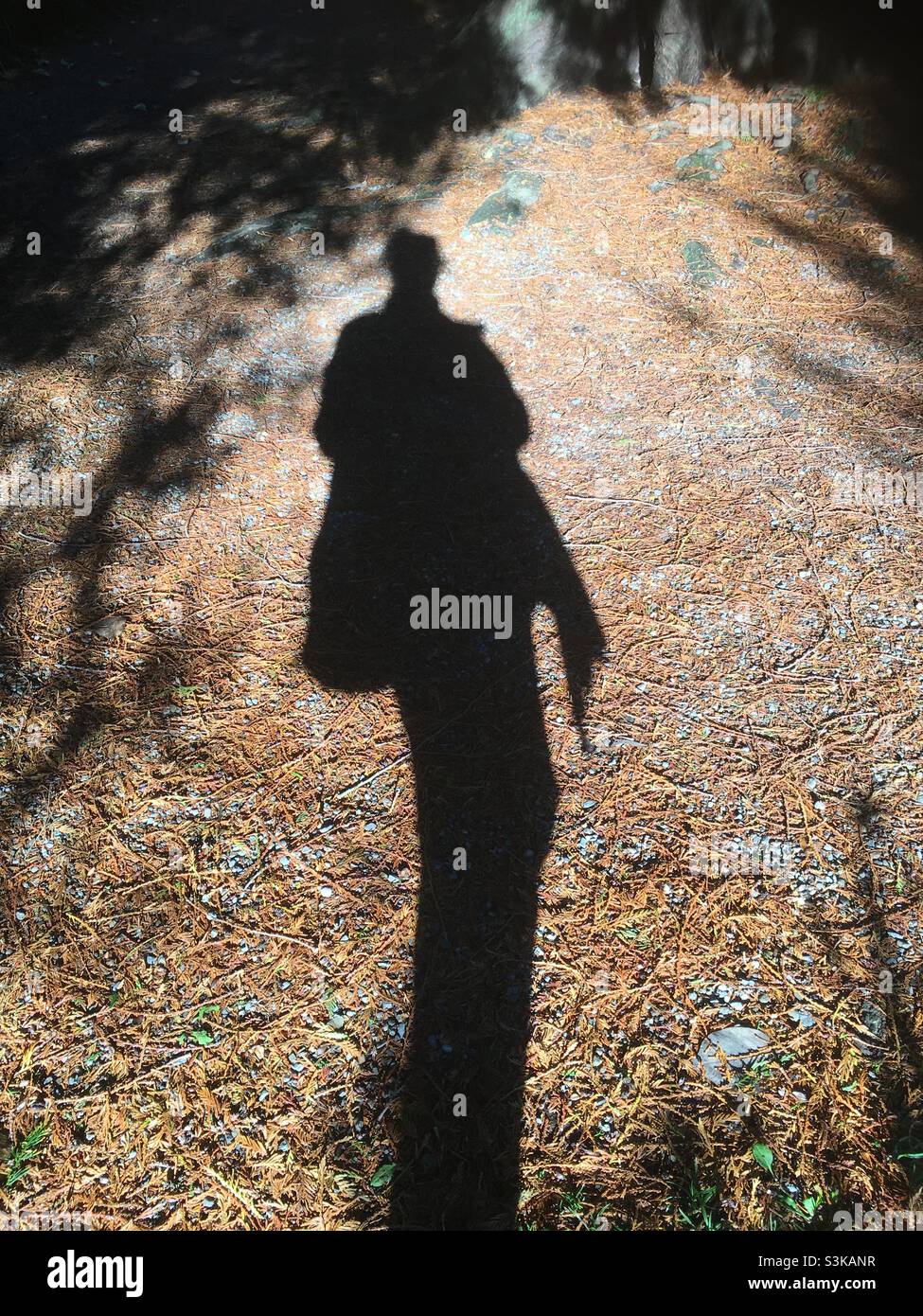 Sunlight and shadow hi-res stock photography and images - Alamy
