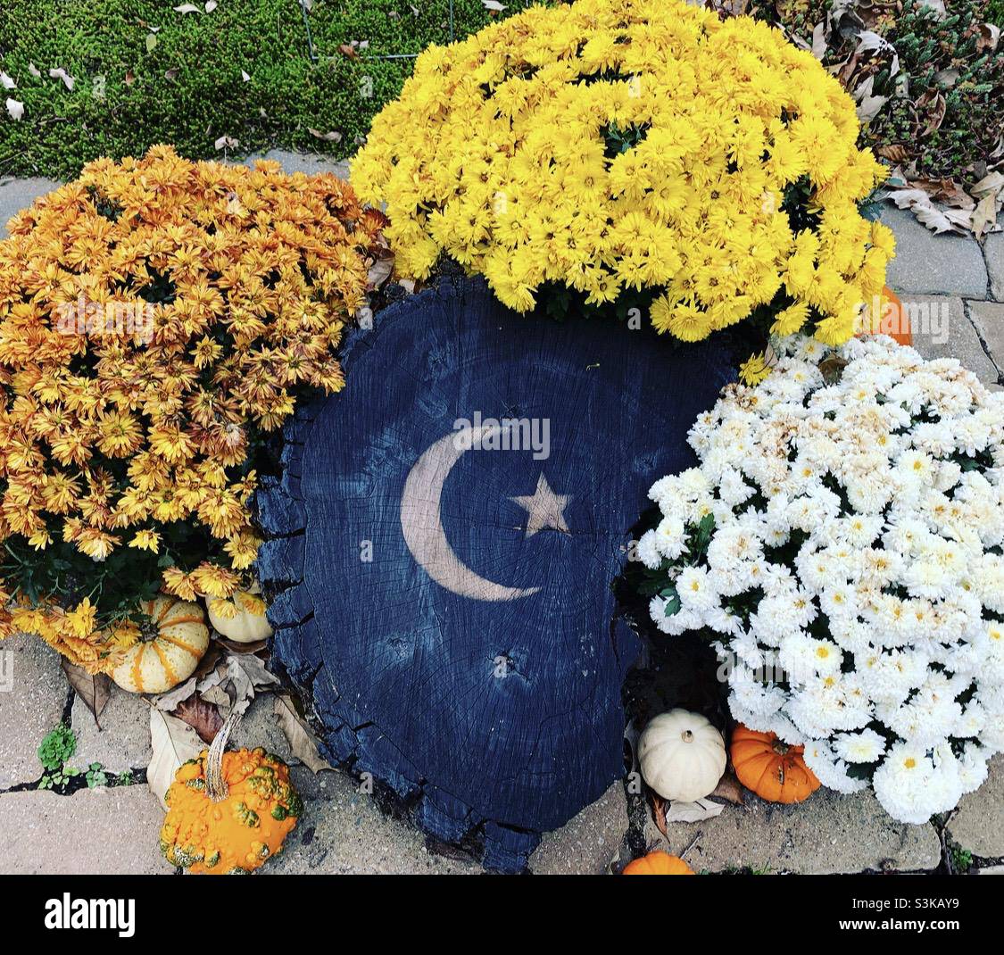 Islam symbol hi-res stock photography and images - Alamy