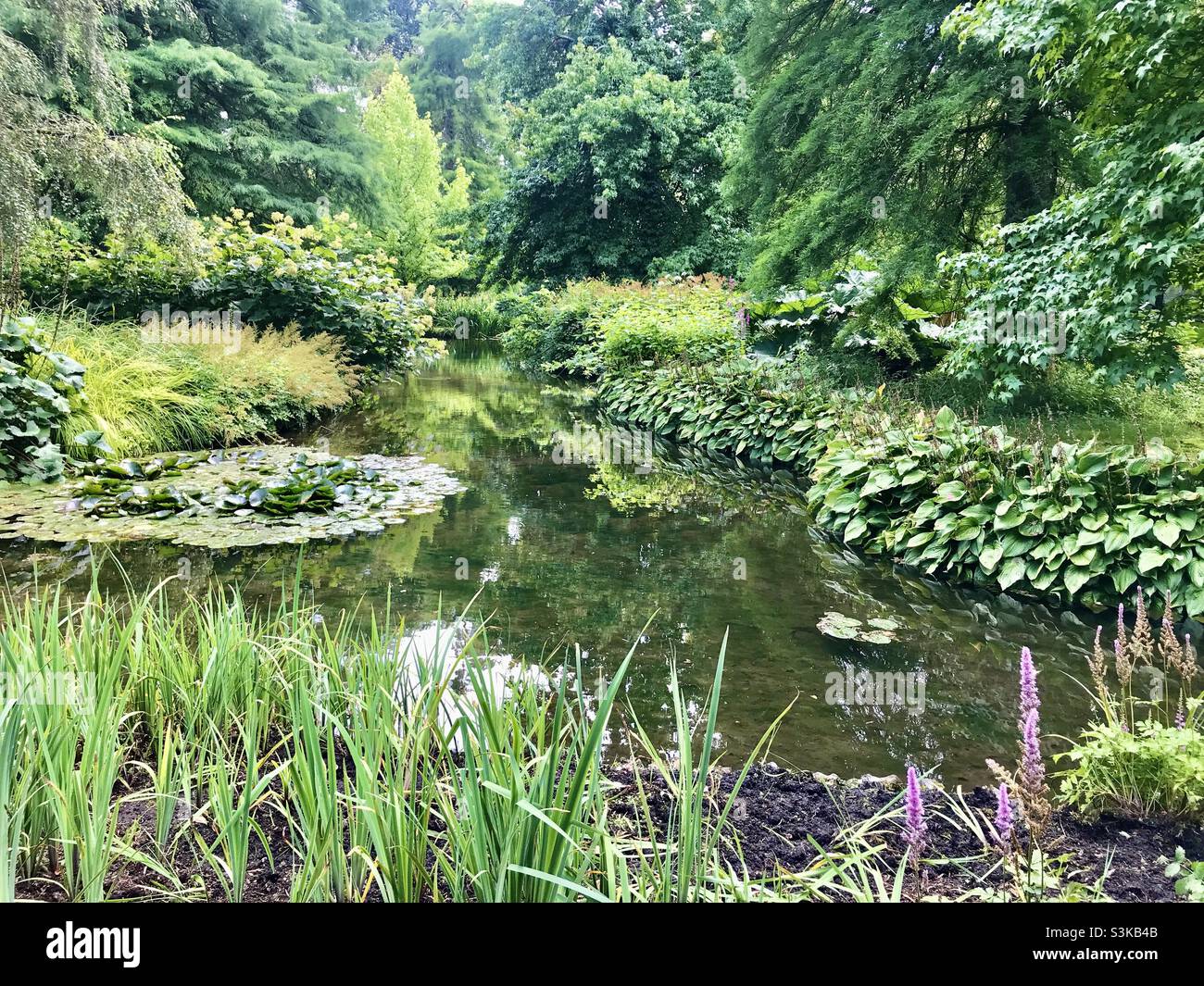 Peaceful pond hi-res stock photography and images - Alamy