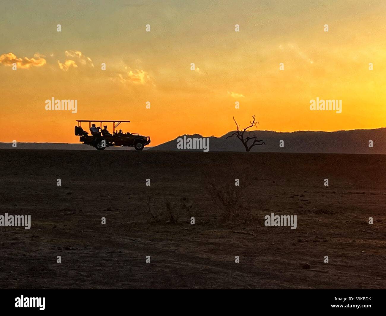African safari sunset hi-res stock photography and images - Alamy