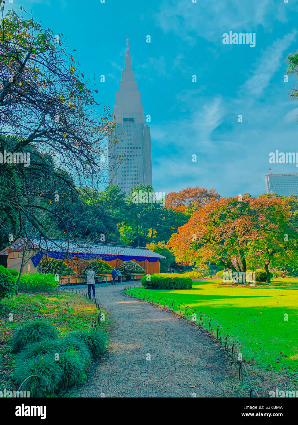 Tokyo park winter hi-res stock photography and images - Alamy